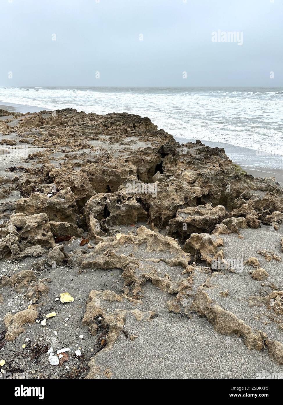 Blowing rocks preserve florida hi-res stock photography and images - Alamy