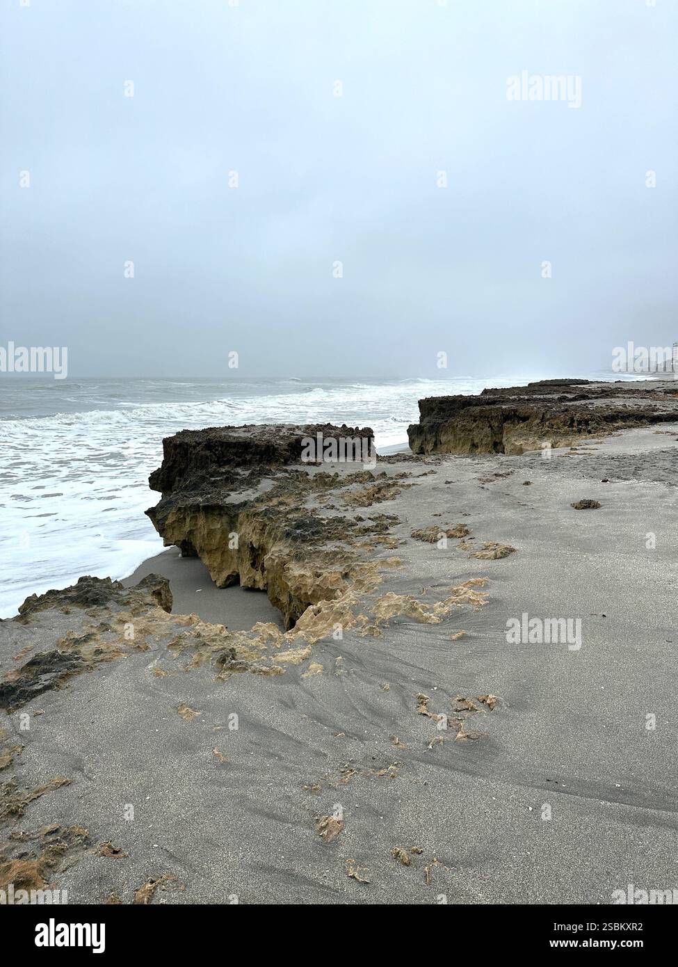 Blowing rocks preserve florida hi-res stock photography and images - Alamy