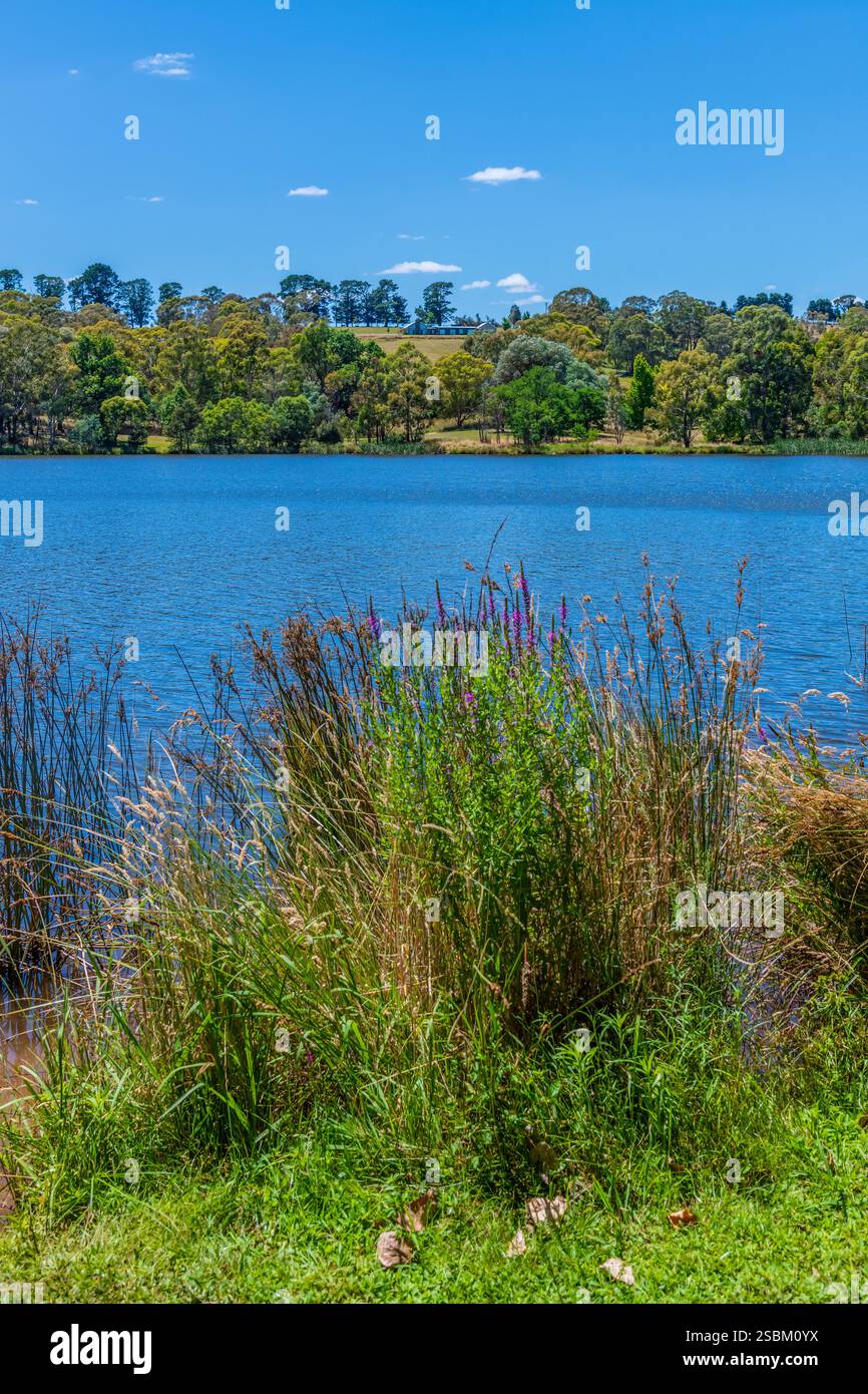 Lake Canobolas is a man-made reservoir located near Orange at the foot ...
