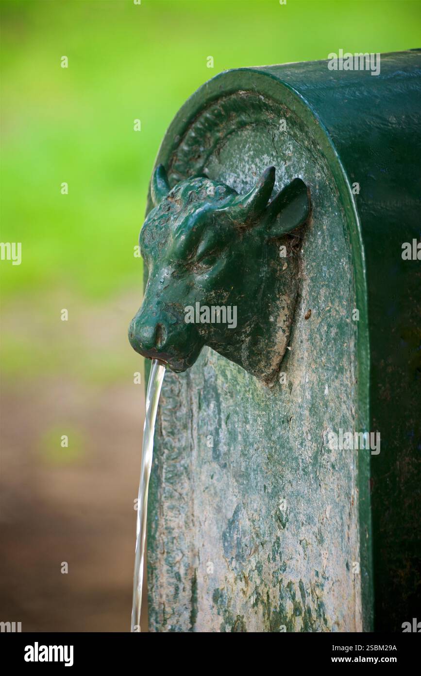 Detail of a Toret Fountain, Turin, Italy. These cast iron fountains ...