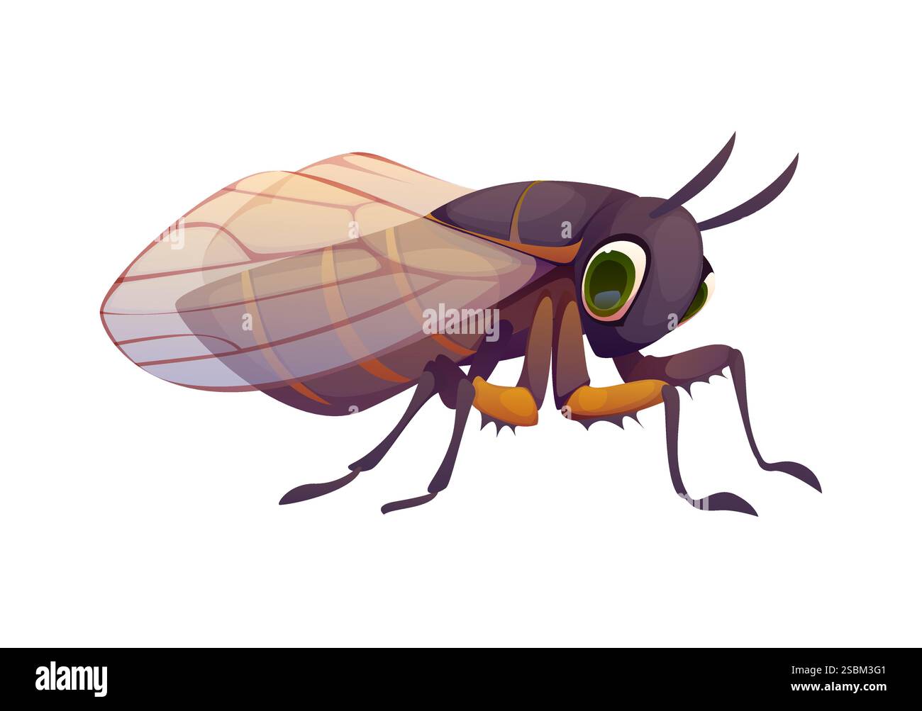 Cartoon funny cicada insect character featuring large green eyes and ...