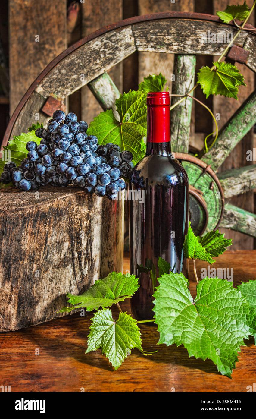 A bottle of wine on the background of the vine in a vintage entourage ...