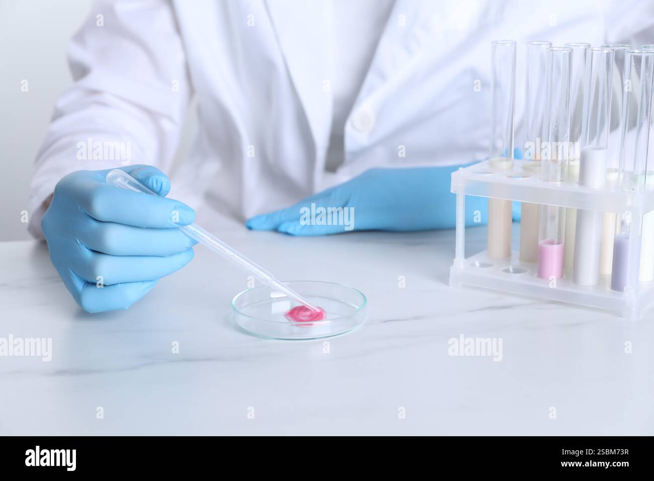 Laboratory testing. Scientist working with Petri dish and test tubes at ...