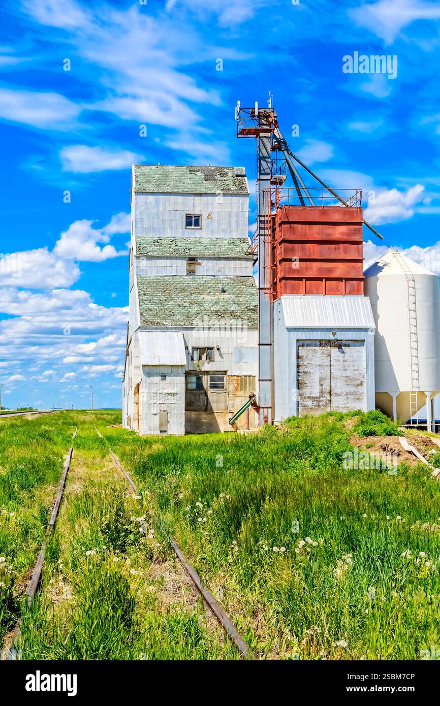 Grain silo is in the middle of a field. The silo is white and red Stock ...