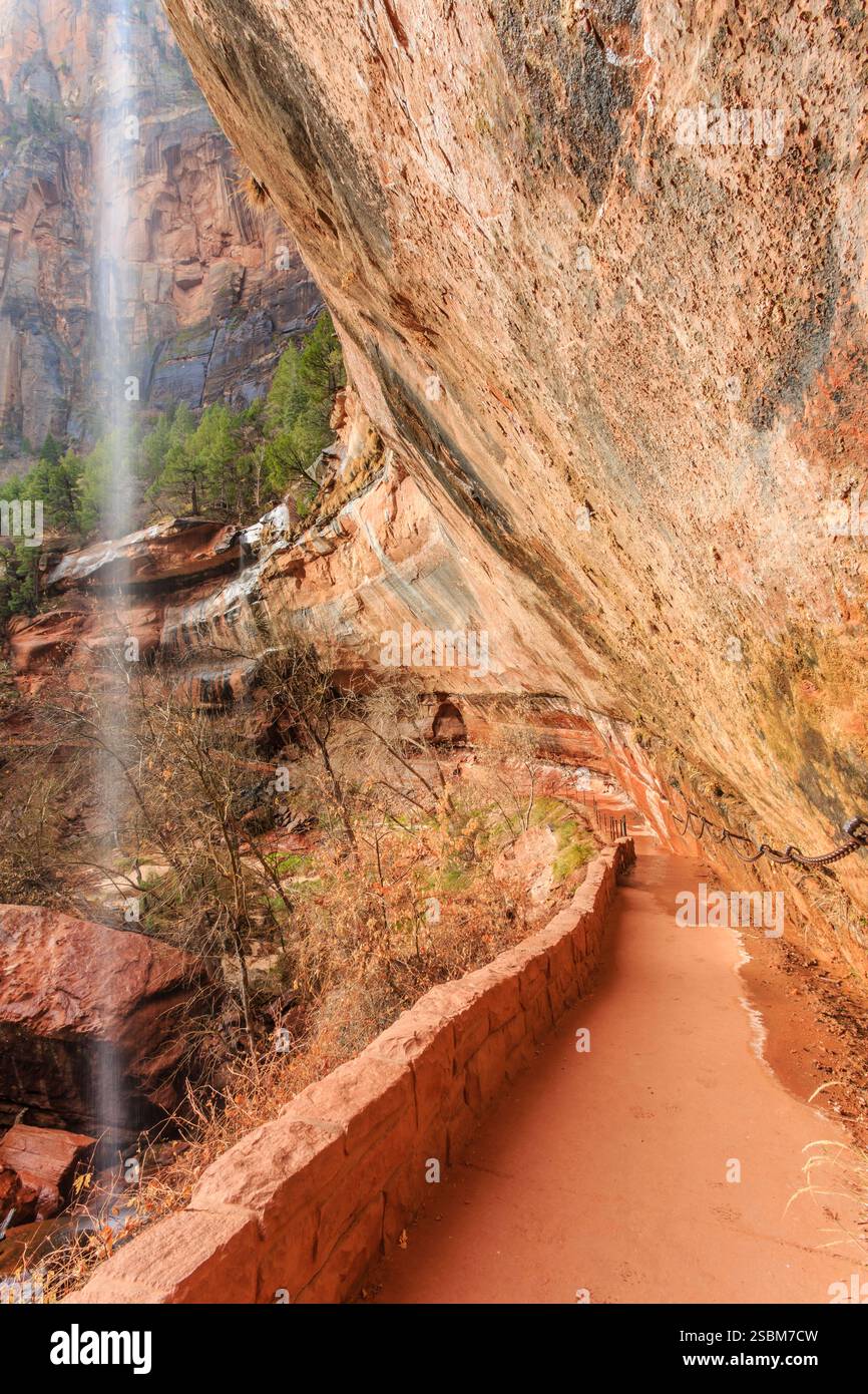 Path is carved into a rock wall. The path is lined with trees. The path ...