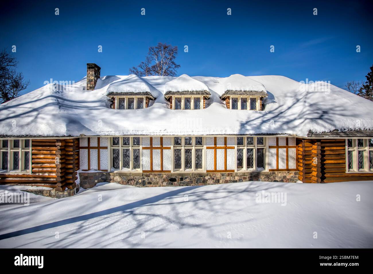A large, old-fashioned house is covered in a thick layer of snow. The ...