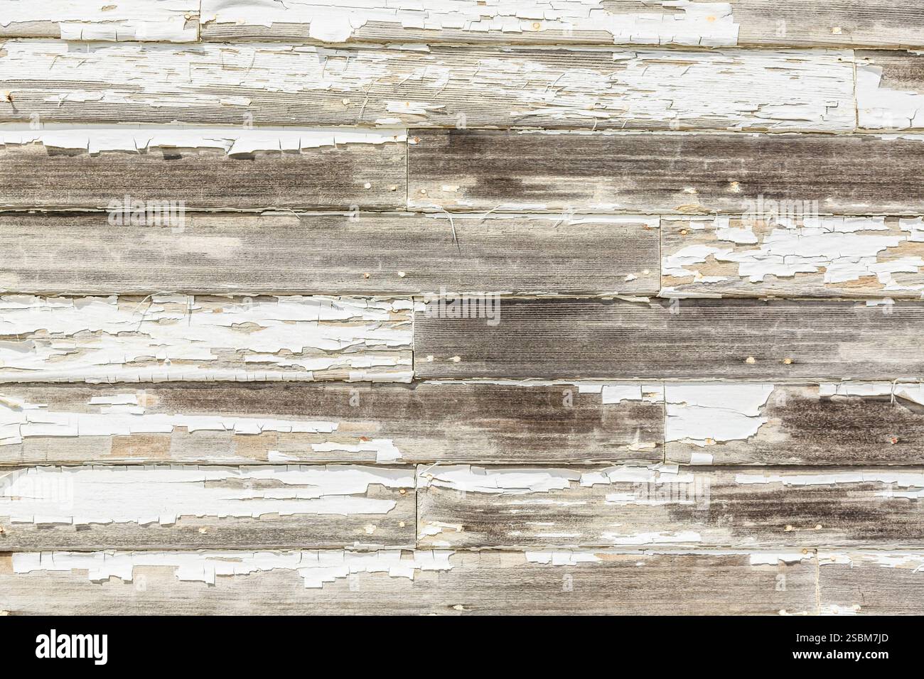 Wooden wall with white paint peeling off. The wood is old and has a rough texture Stock Photo ...
