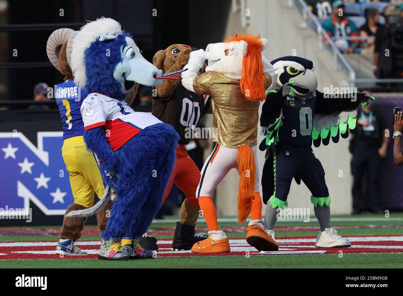 NFL mascots dance for fans during the NFL Pro Bowl Game on Sunday, Feb ...