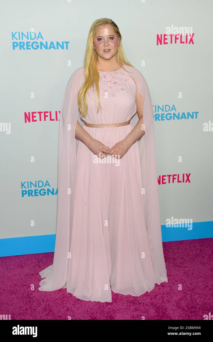 New York, USA. 03rd Feb, 2025. Amy Schumer attends 'Kinda Pregnant ...