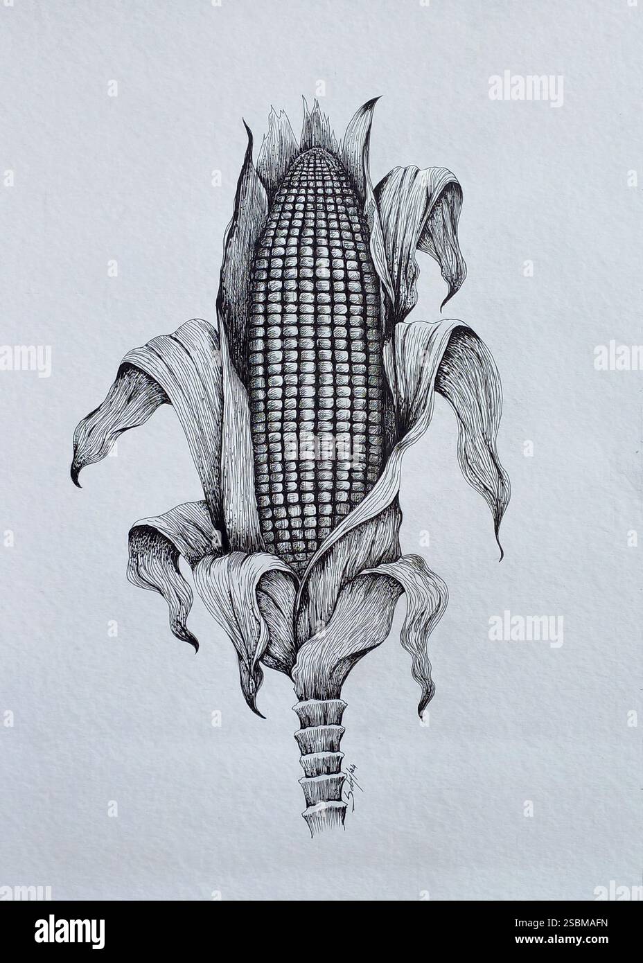 Line art on paper Stock Photo - Alamy