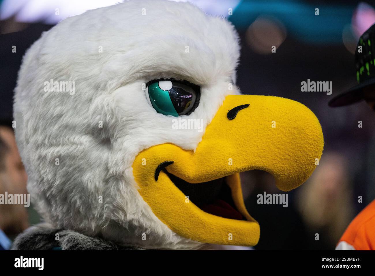 2025 super bowl lix hi-res stock photography and images - Alamy