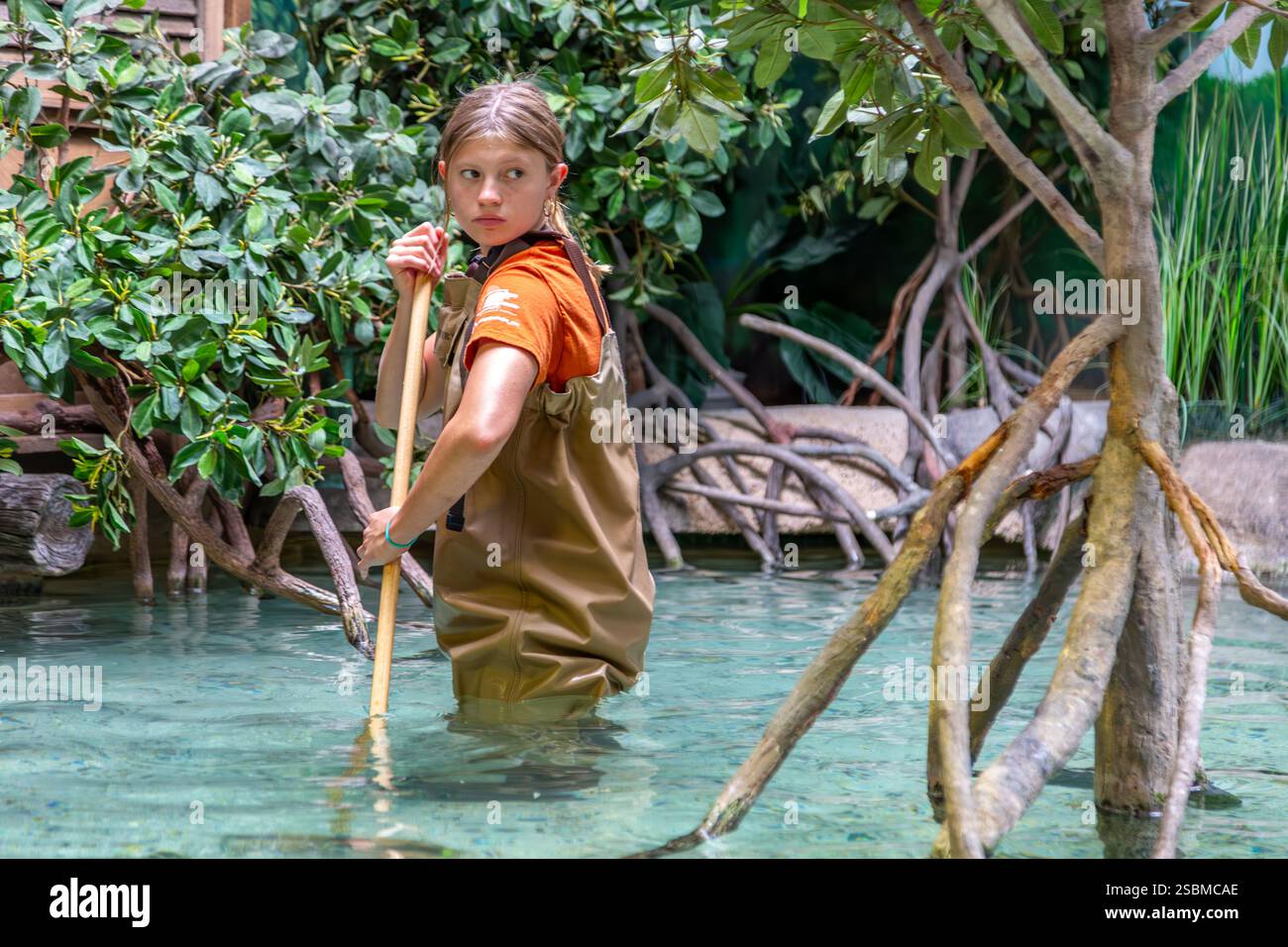 A young zoo volunteer cleans the stingray habitat at the Fort Wayne ...