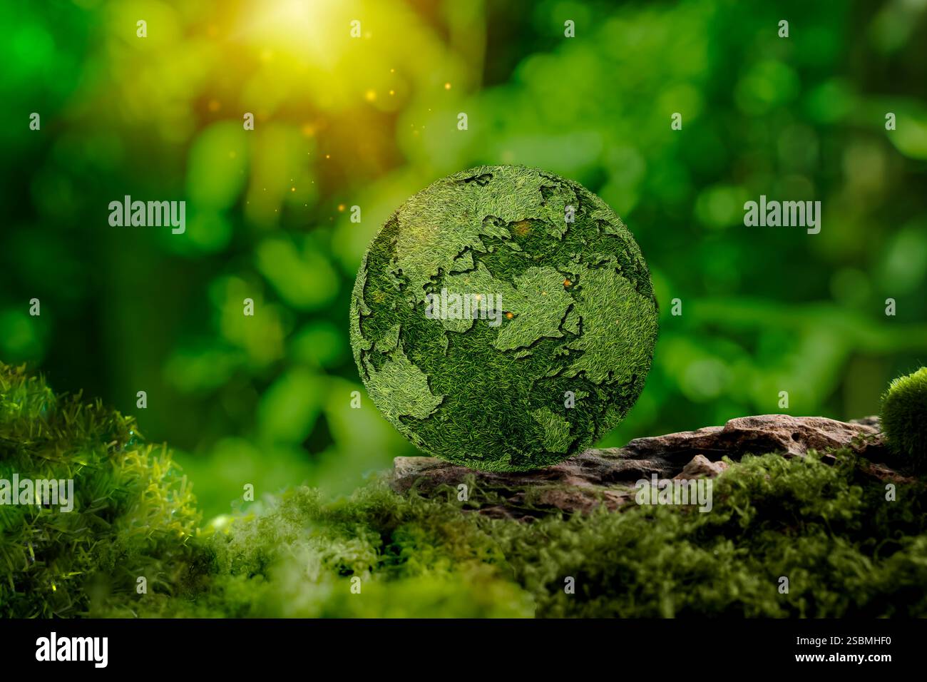 Environment Concept. Earth plant On moss In Forest With Ferns And ...