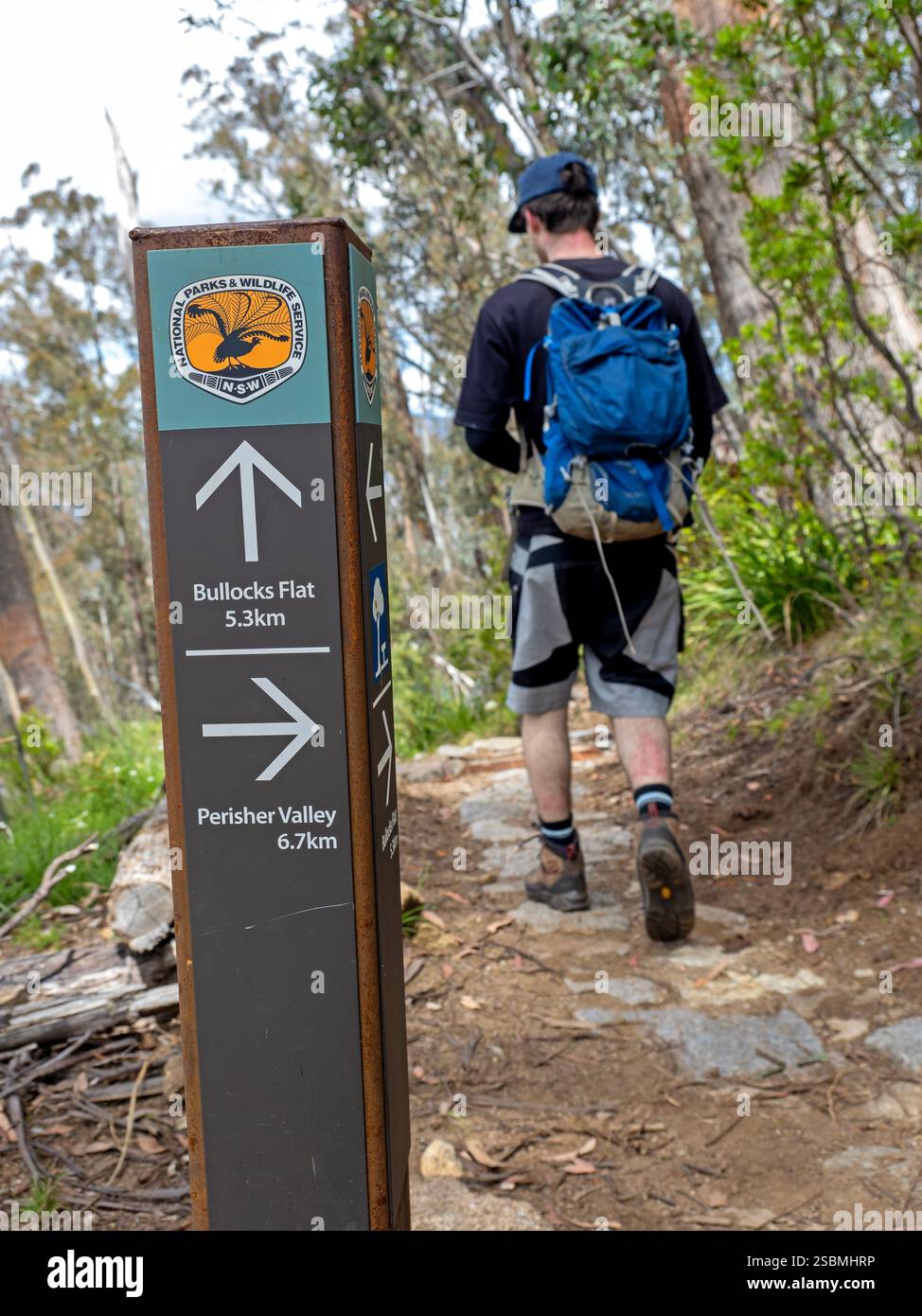 Alpine walk trail hi-res stock photography and images - Alamy