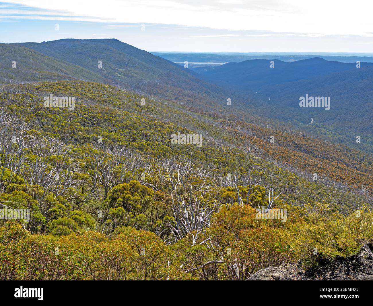 View through the Thredbo Valley to Lake Jindabyne Stock Photo - Alamy