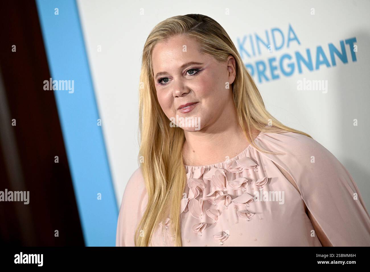 Amy Schumer attends the premiere of Netflix's "Kinda Pregnant" at The ...