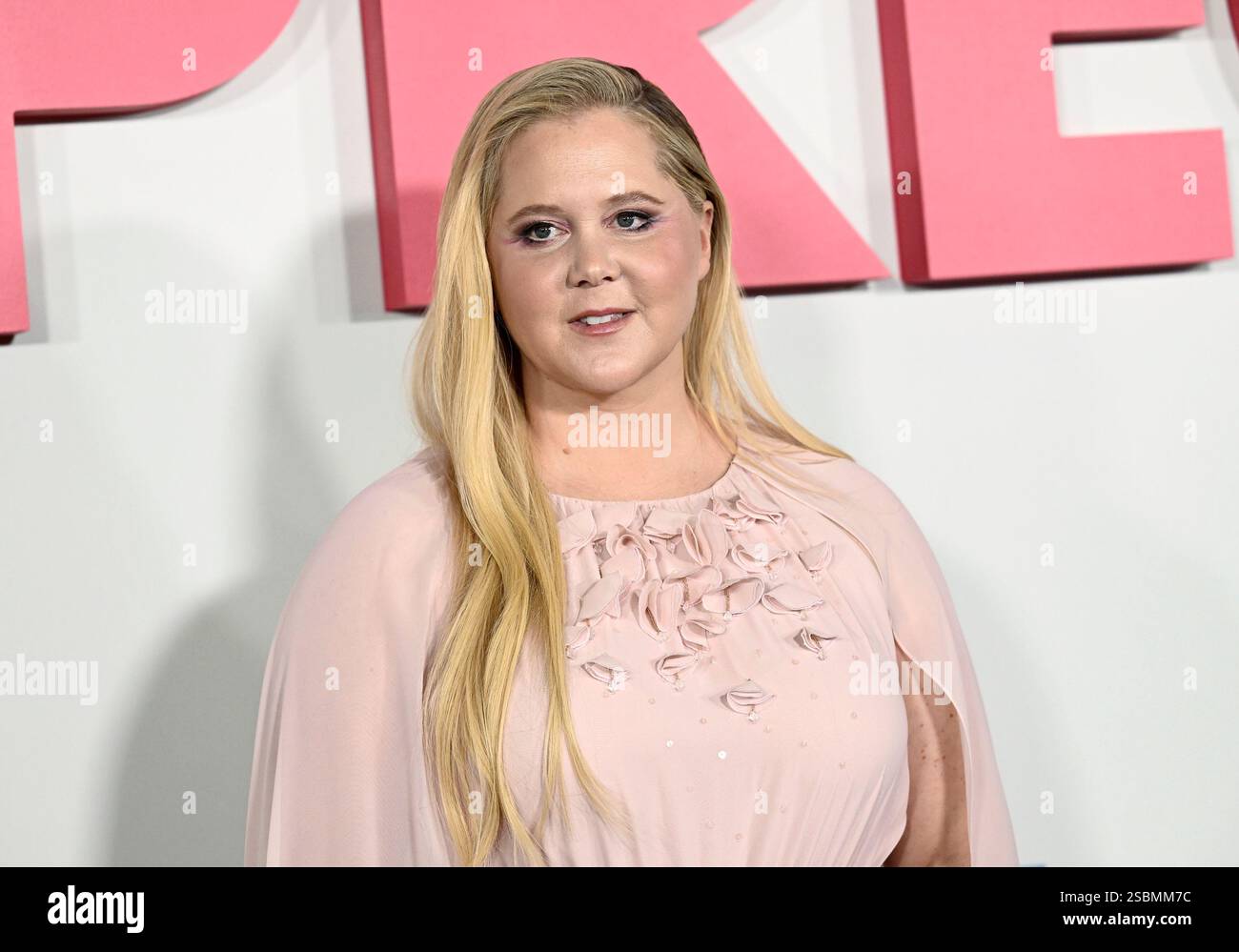 Amy Schumer attends the premiere of Netflix's "Kinda Pregnant" at The ...
