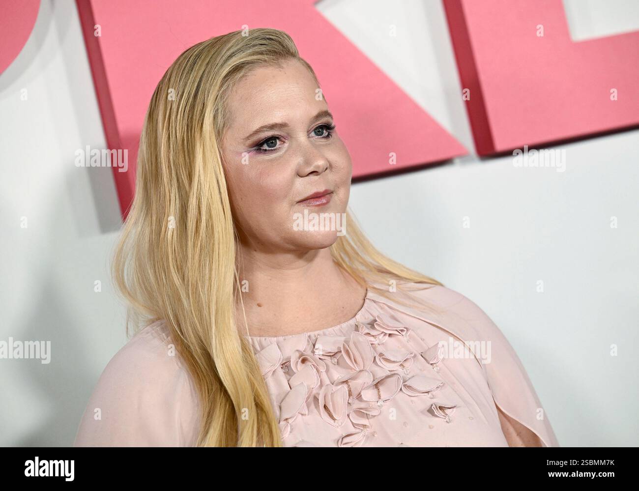 Amy Schumer attends the premiere of Netflix's "Kinda Pregnant" at The ...