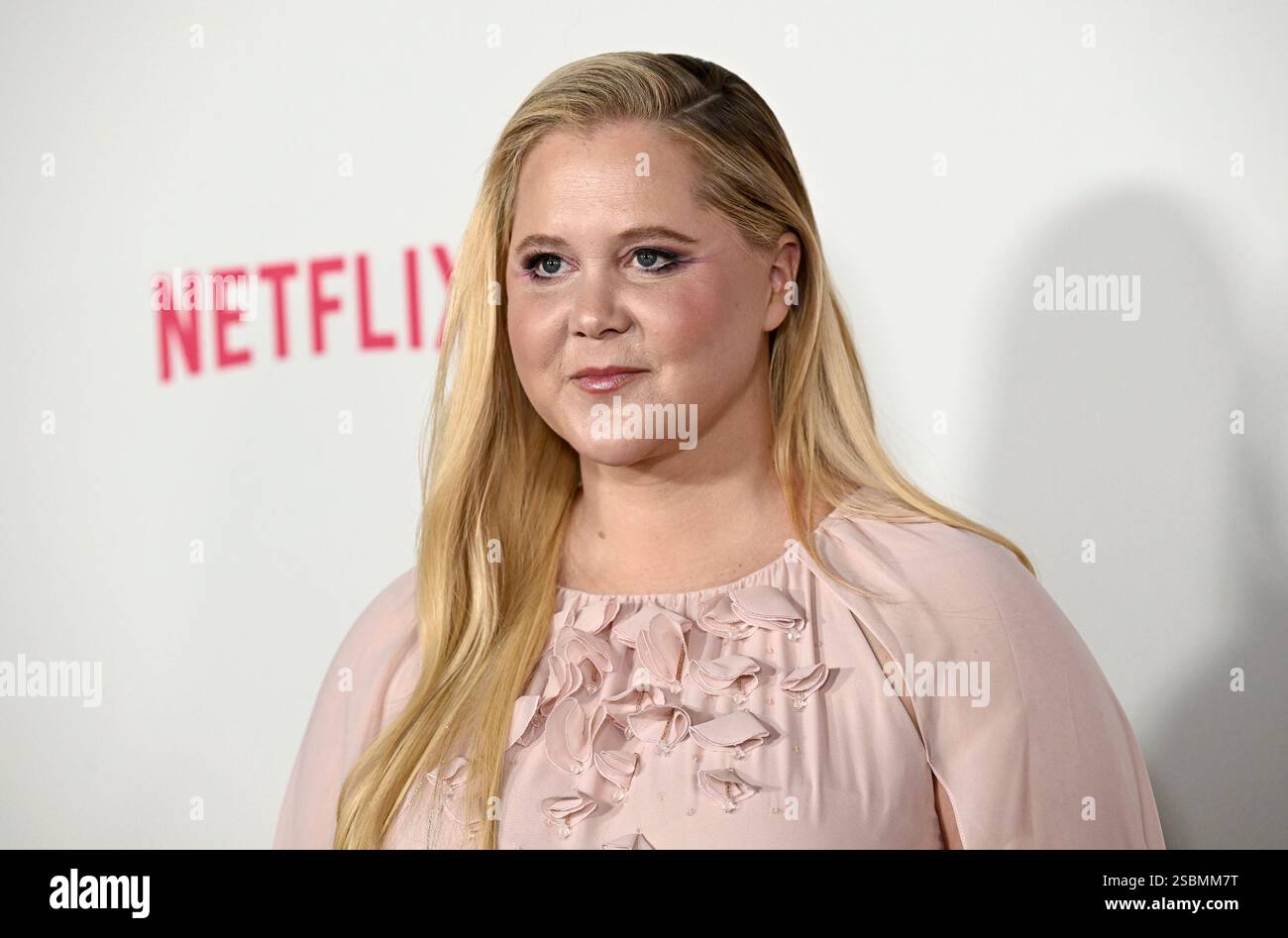 Amy Schumer attends the premiere of Netflix's "Kinda Pregnant" at The ...