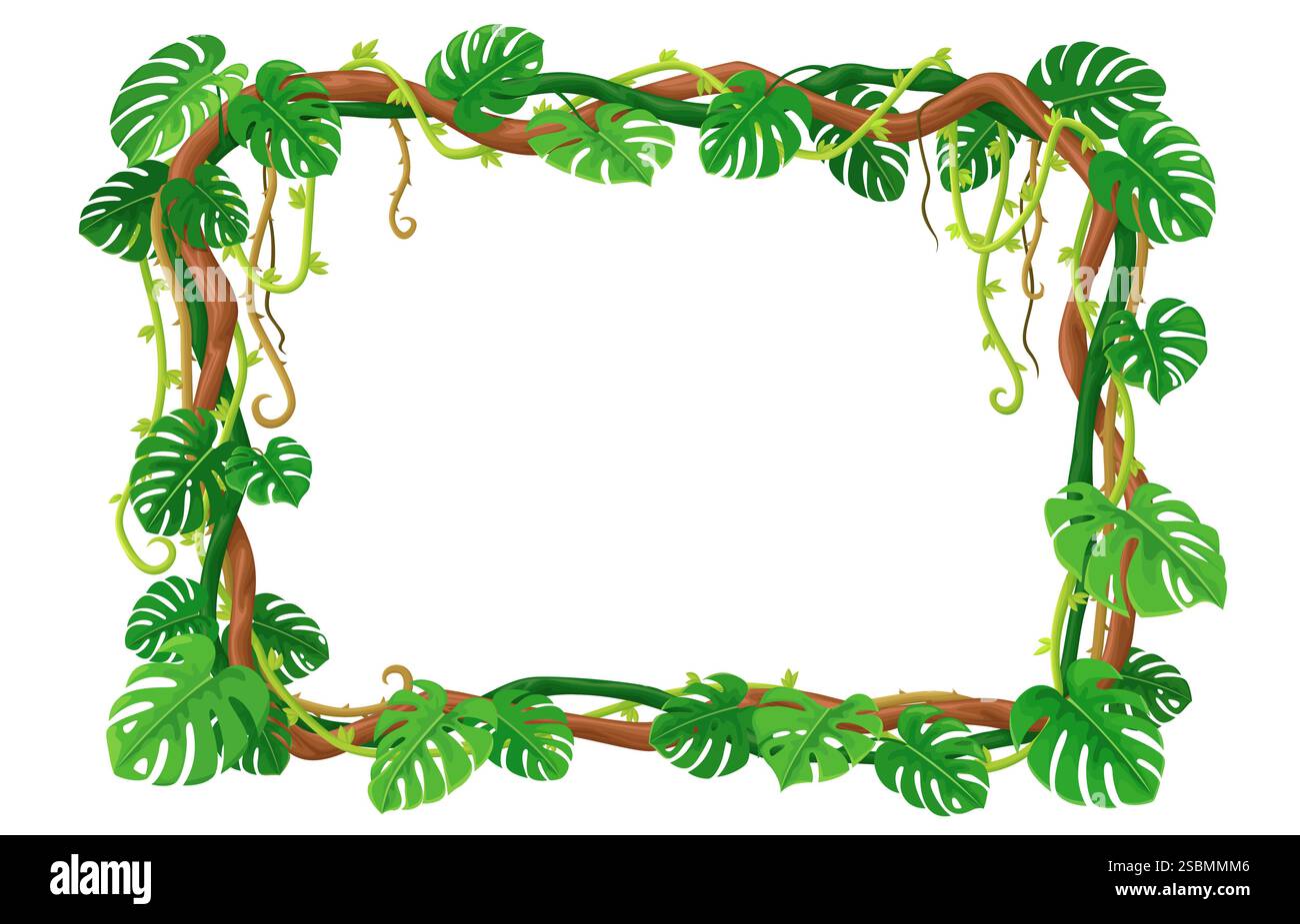 Tropical forest liana frame with green monstera leaves and vines ...