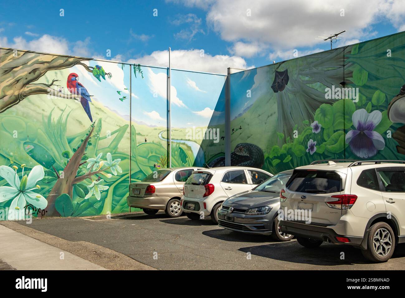 Street Art by Mayfield Palace, Footscray, Victoria, Australia Stock ...