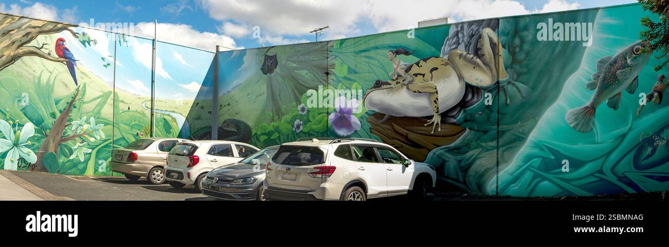Street Art by Mayfield Palace, Footscray, Victoria, Australia Stock ...
