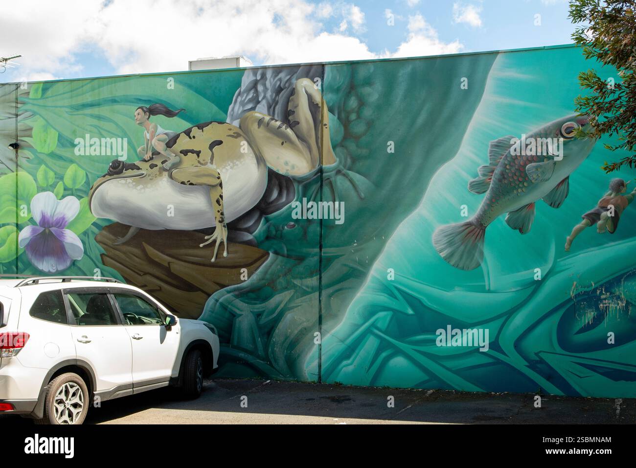 Street Art by Mayfield Palace, Footscray, Victoria, Australia Stock ...