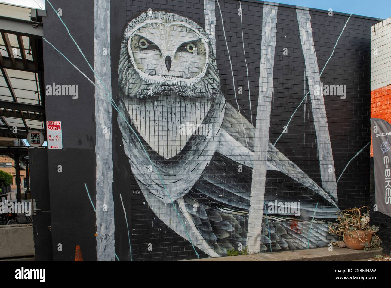 Owl Street Art, Brunswick, Victoria, Australia Stock Photo - Alamy