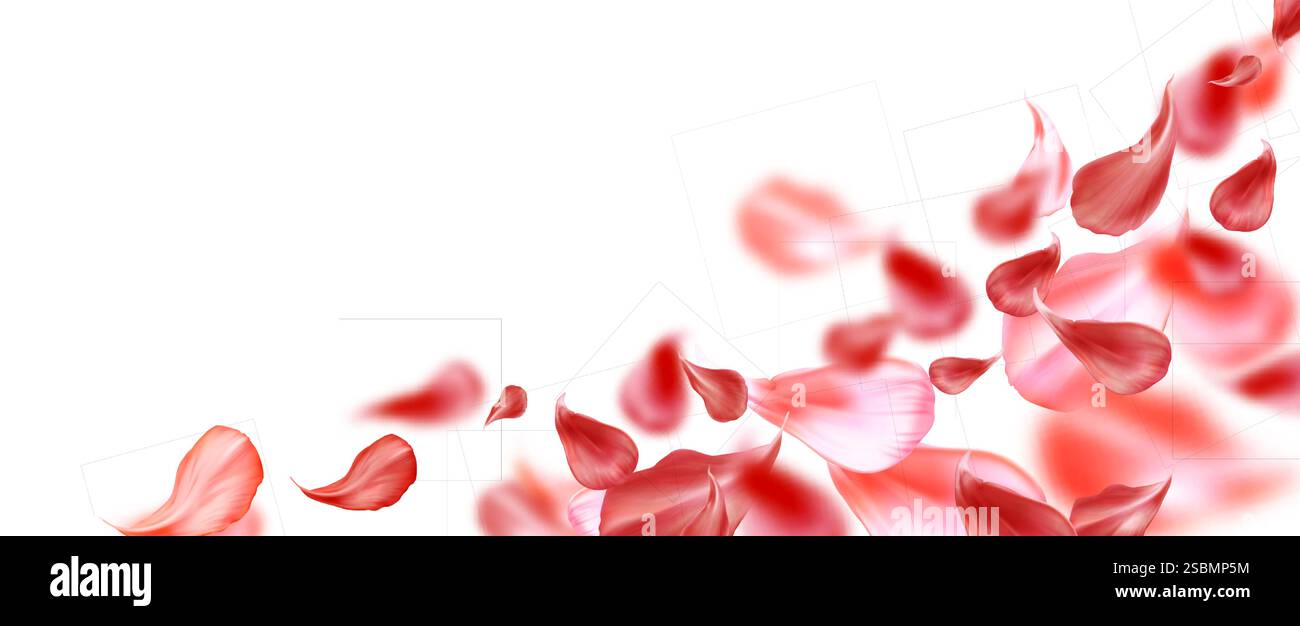Red rose petals creating border frame with flying scattered elements on ...