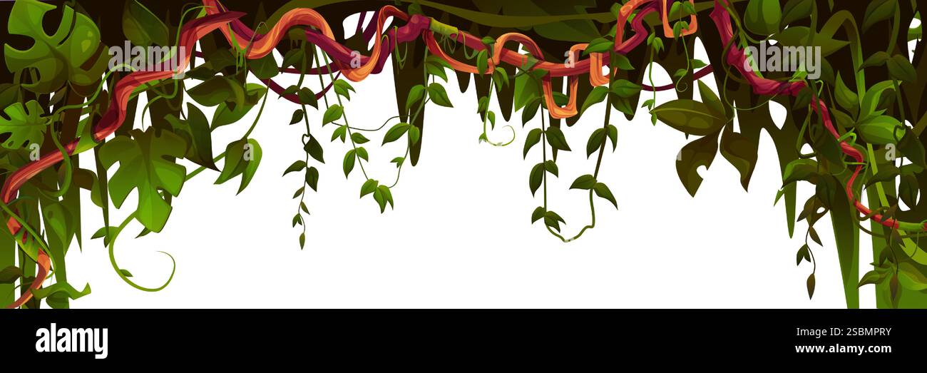 Jungle liana frame - horizontal border with twisted vines, hanging ...