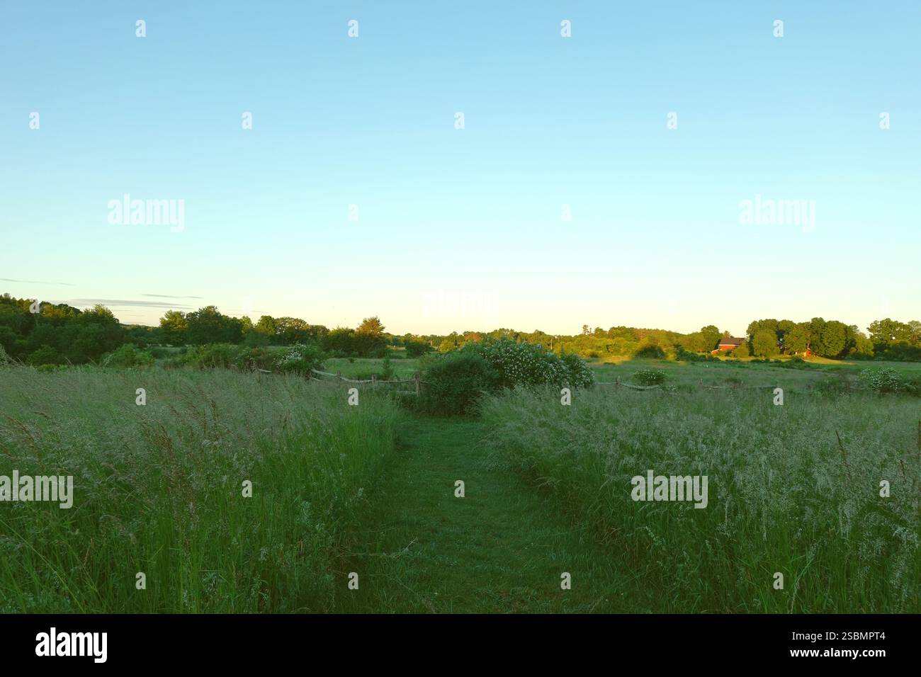 Castle Neck River Reservation in Summer Stock Photo - Alamy