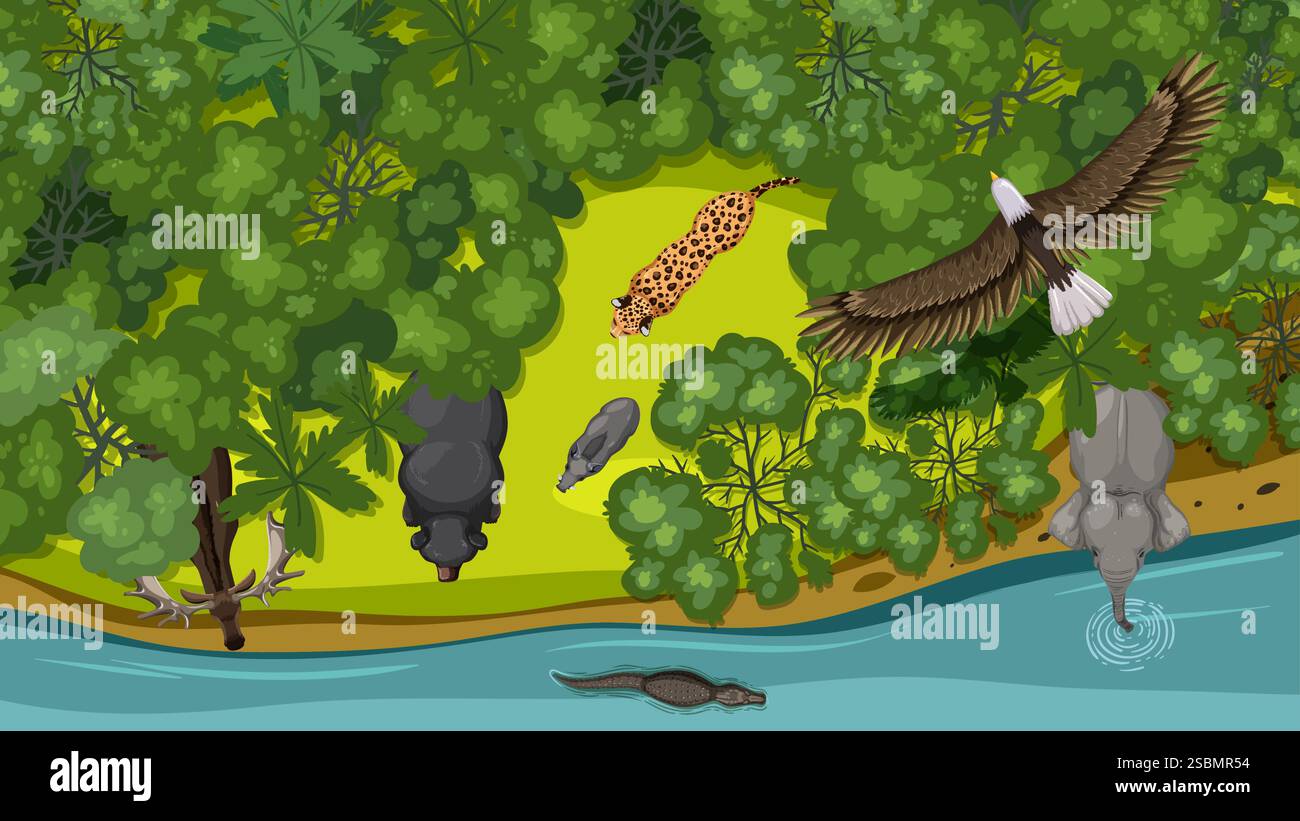 Leopard top view Stock Vector Images - Alamy