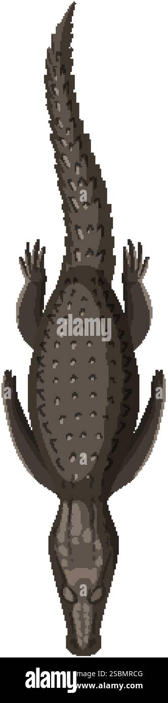 Crocodile from above illustration hi-res stock photography and images ...