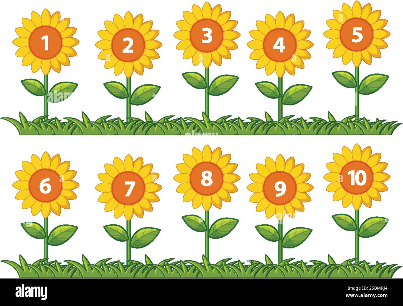 Ten sunflowers with numbers in a grassy field Stock Vector Image & Art ...