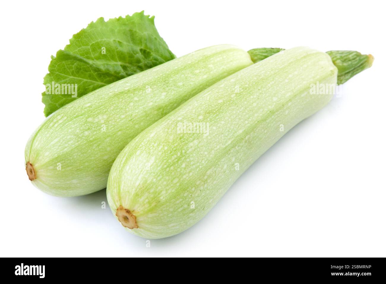Vegetable spaghetti plant Cut Out Stock Images & Pictures - Alamy