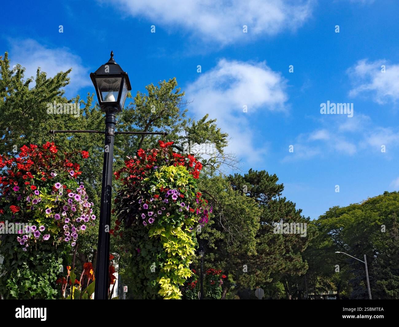 Niagara on the Lake, Canada / Picturesque street scene along Picton ...