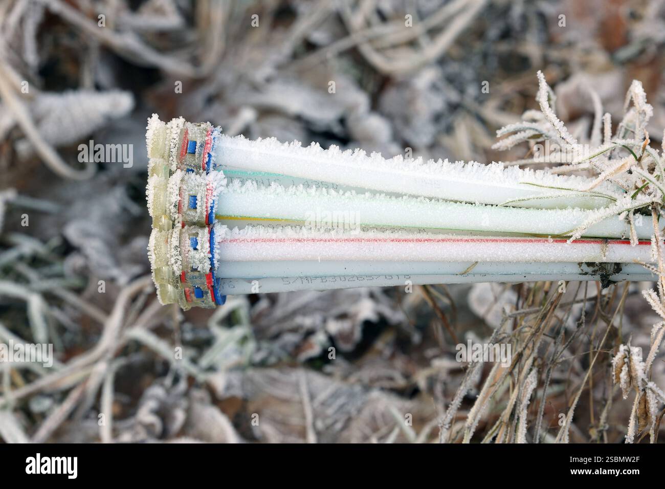 Glasfaserkabel ist mit Frost bedeckt. Glasfaserkabel am 03.02.2025 in ...