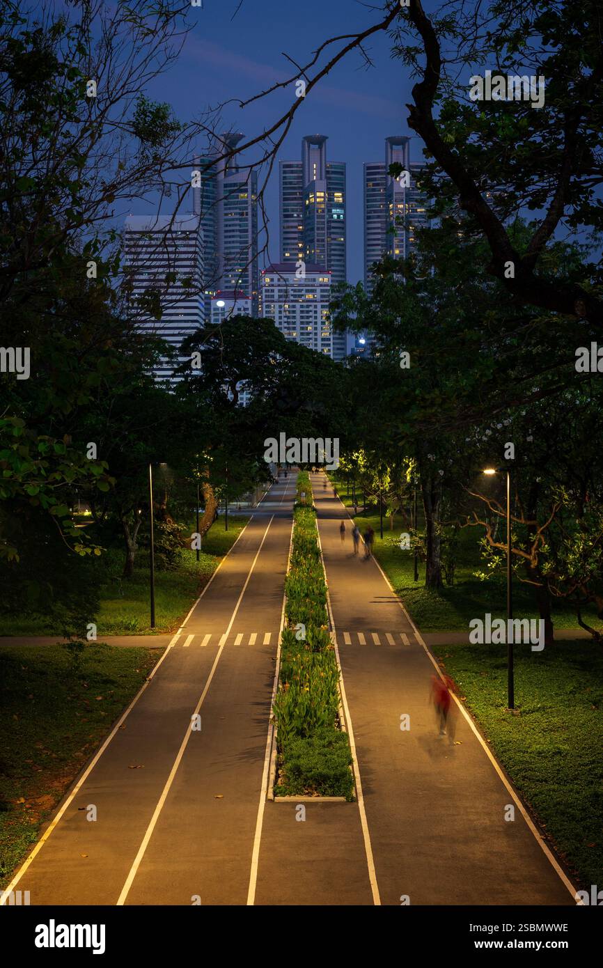 Tall skyscrapers behind a pathway or running track and lush trees at ...