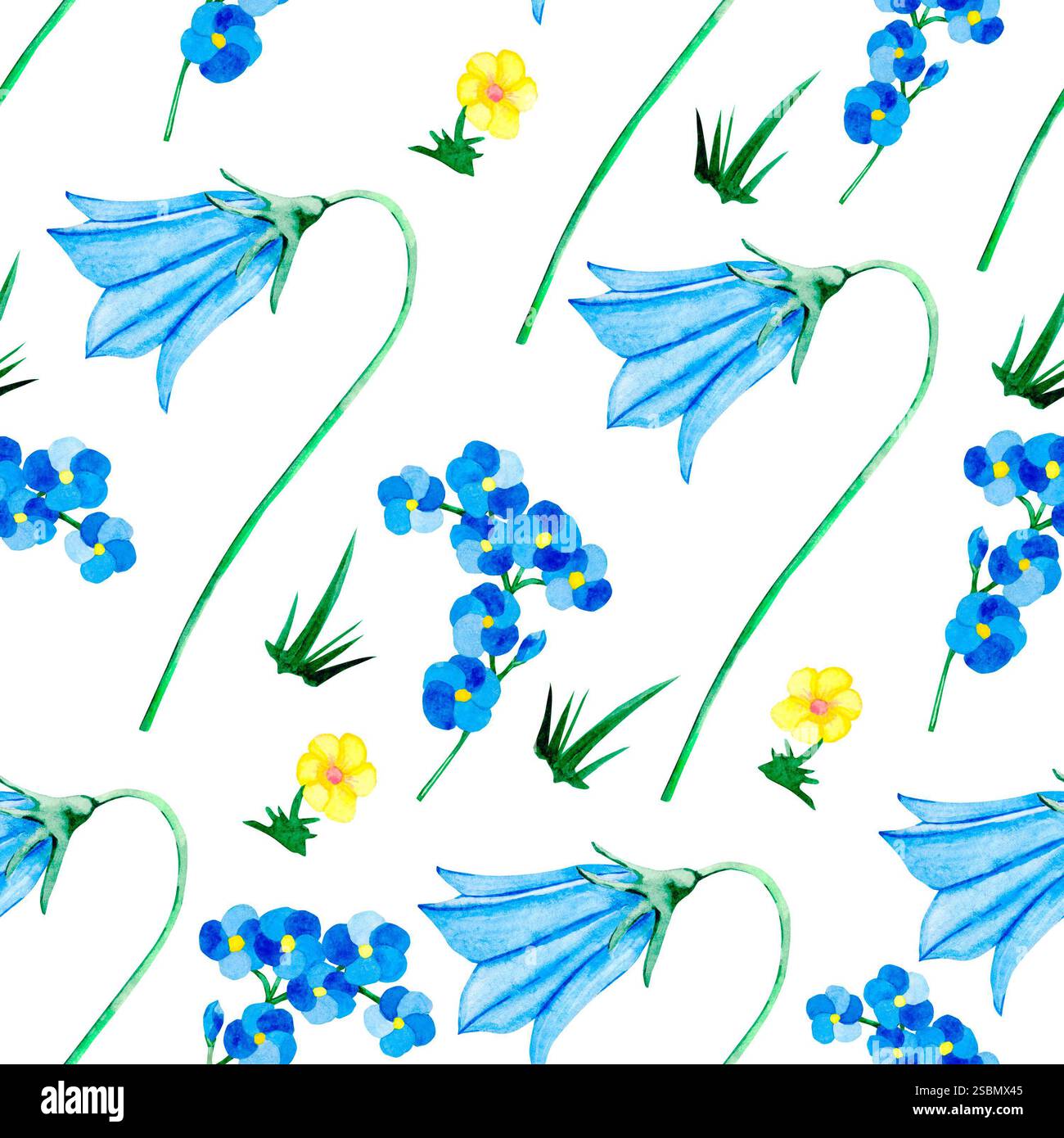 Seamless pattern of plants and flowers. Botany of forget-me-not ...