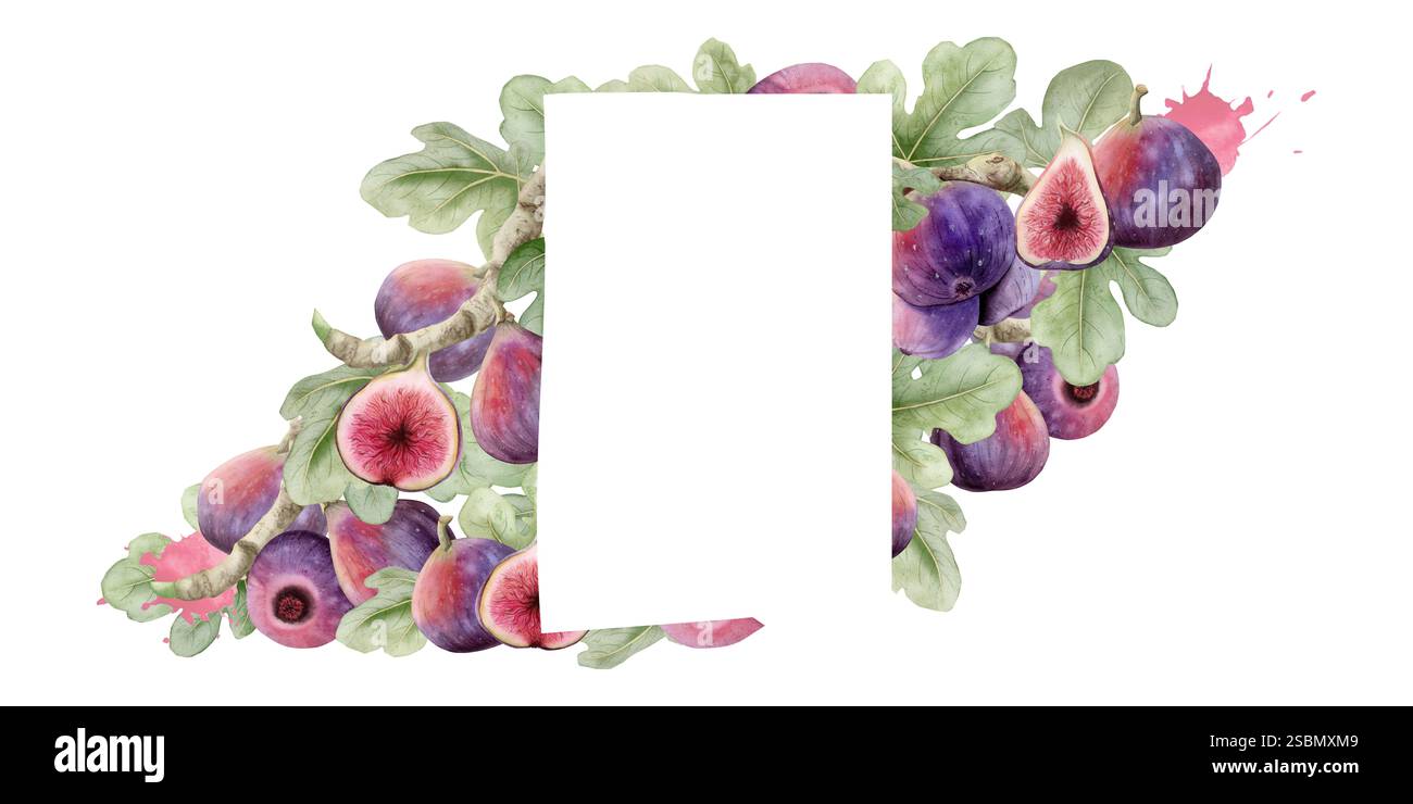 Watercolor figs label or card template. Botanical fruit tree branches ...