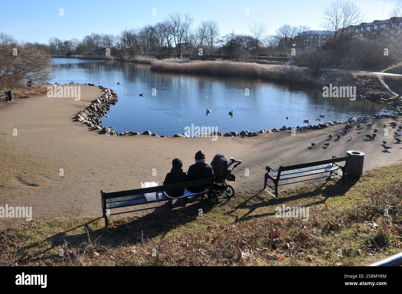 Copenhagen, Denmark. 27 February 2021, Family enjoy sun sine climate ...