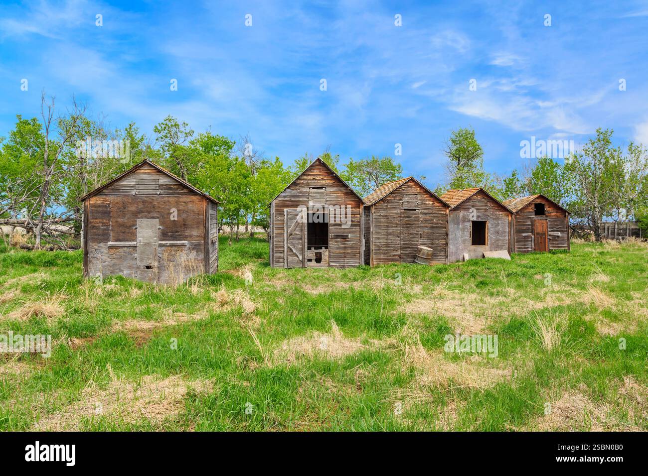Four old wooden buildings are in a field. The buildings are empty and ...