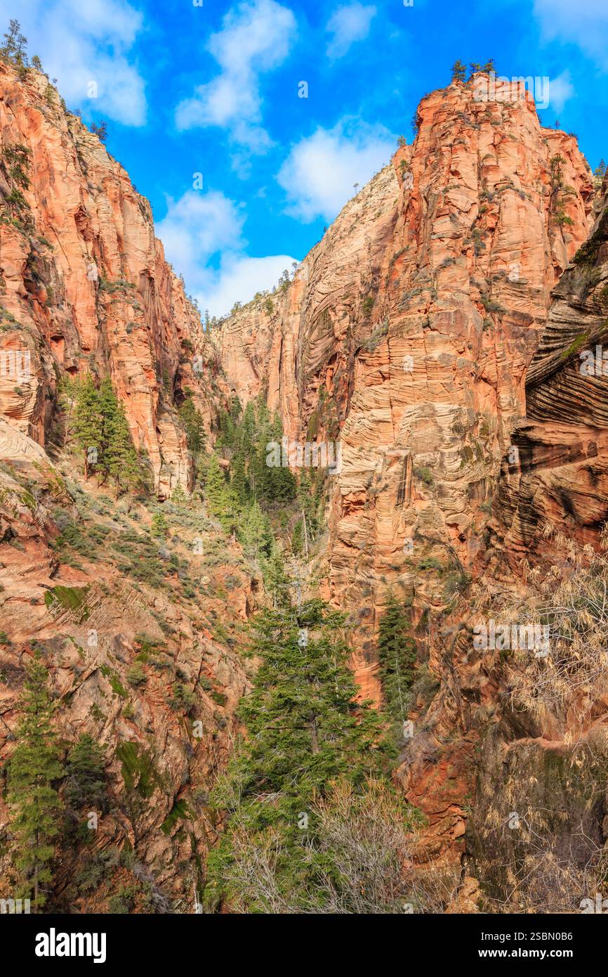 Mountain range with a tree in the middle. The mountain range is very ...