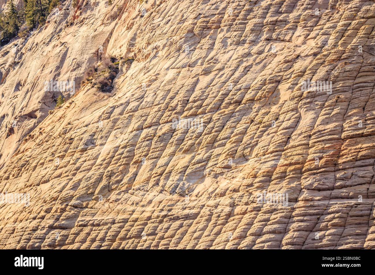 Rocky cliff with a lot of small rocks. The rocks are in different sizes ...