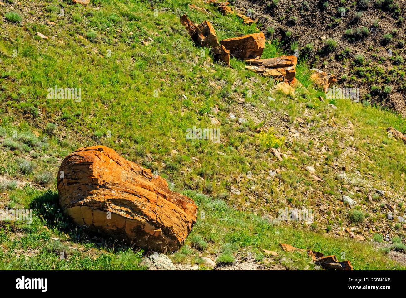 Large rock sits on a grassy hill. The rock is brown and has a rough ...