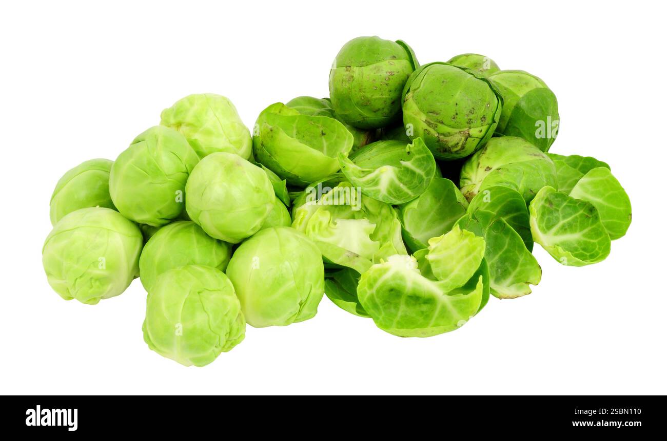 Group of Brussels sprouts being peeled and prepared for cooking with ...