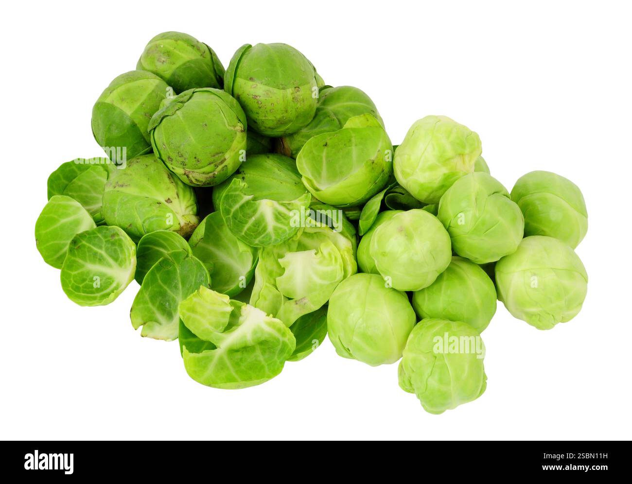 Group of Brussels sprouts being peeled and prepared for cooking with ...