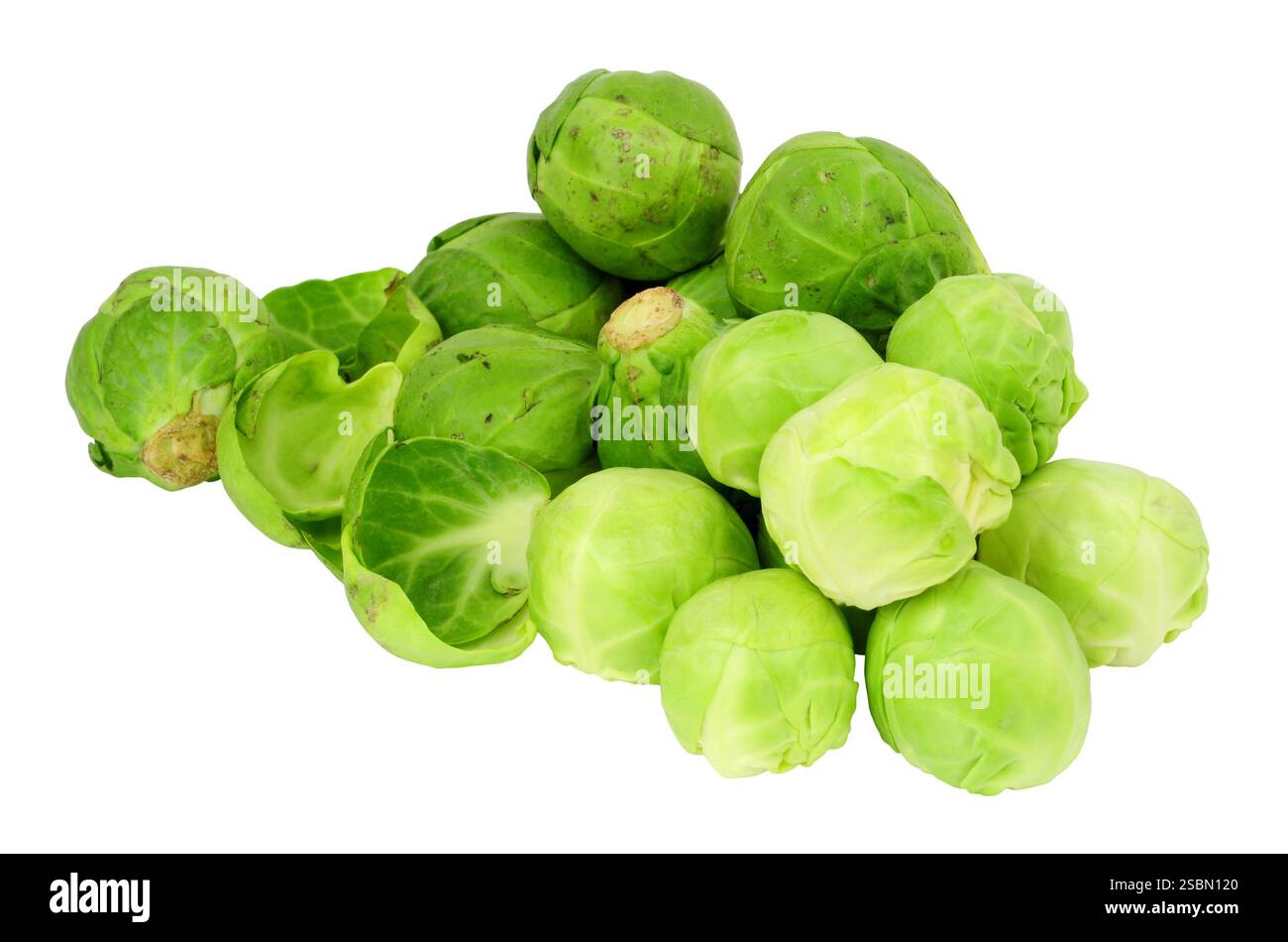 Group of Brussels sprouts being peeled and prepared for cooking with ...