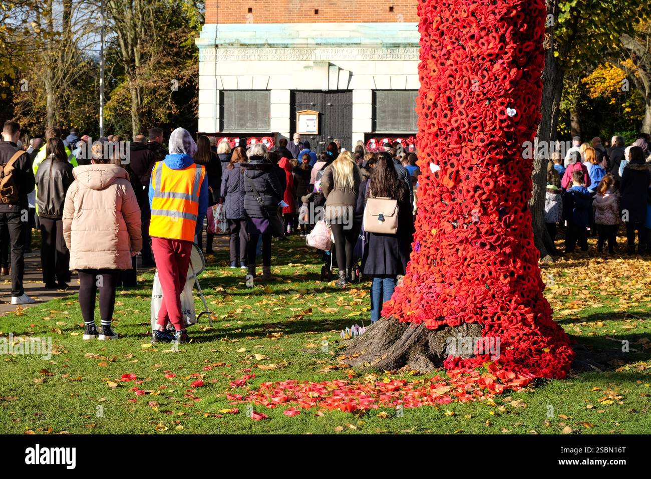 tree wrapped in knitted poppies in queens park loughborough Stock Photo ...