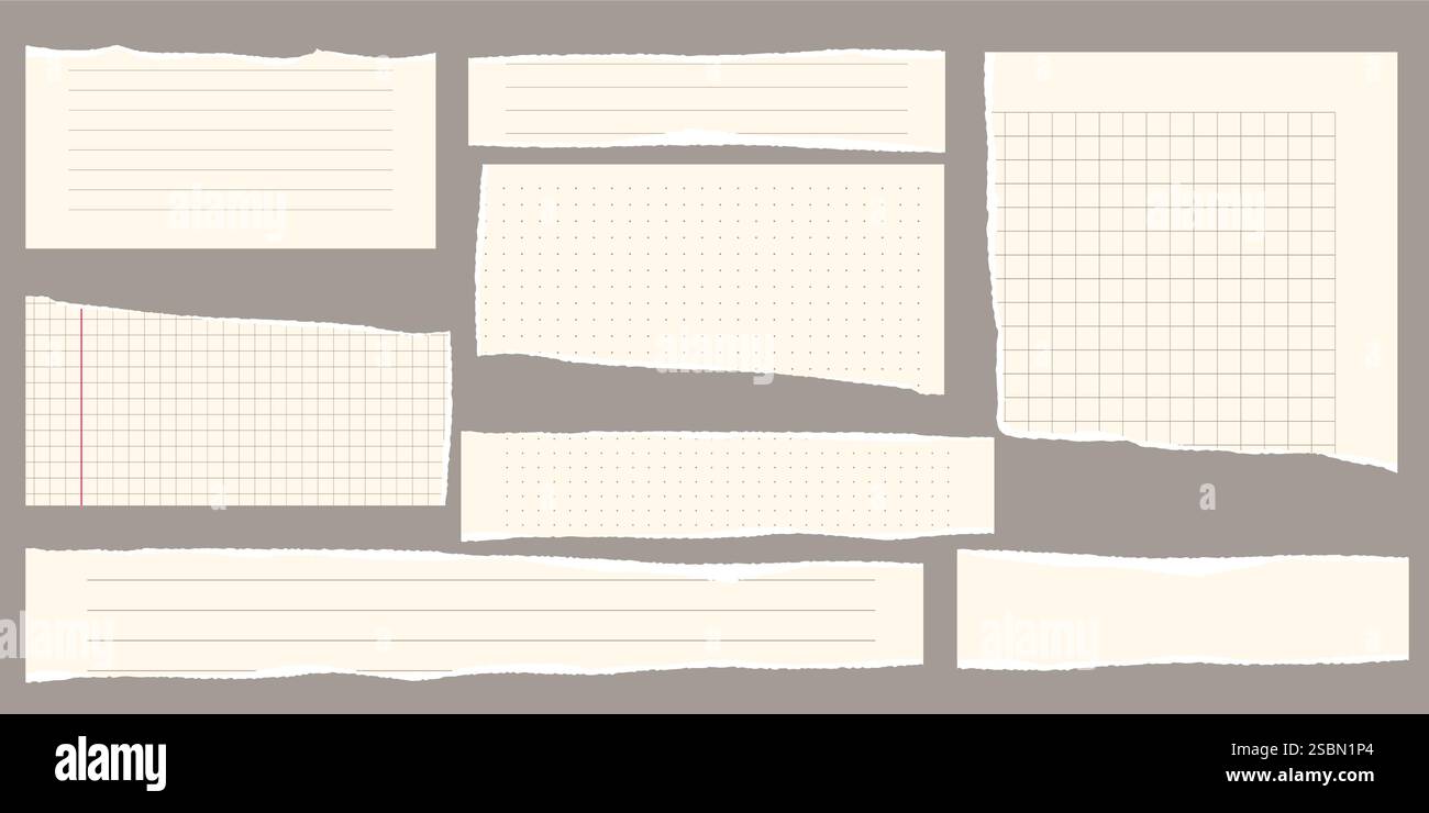 Paper scraps. Torn pieces of paper, with torn edges for notes ...